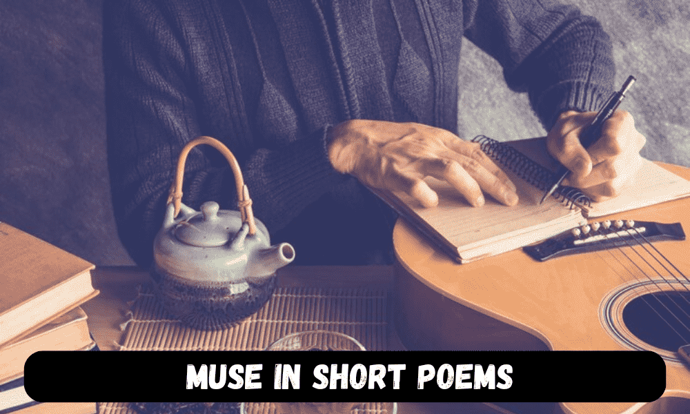 25+ Short Poems About Life and Struggles